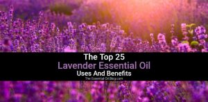Top 25 Lavender Oil Benefits, Uses And How Lavender Essential Oil Is ...